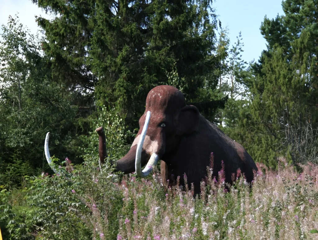 Dinofossiilit - Visulahti